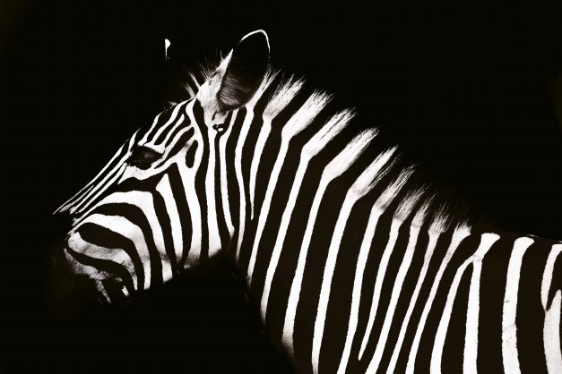 How White Space Analysis in Salesforce Drives New Opportunities